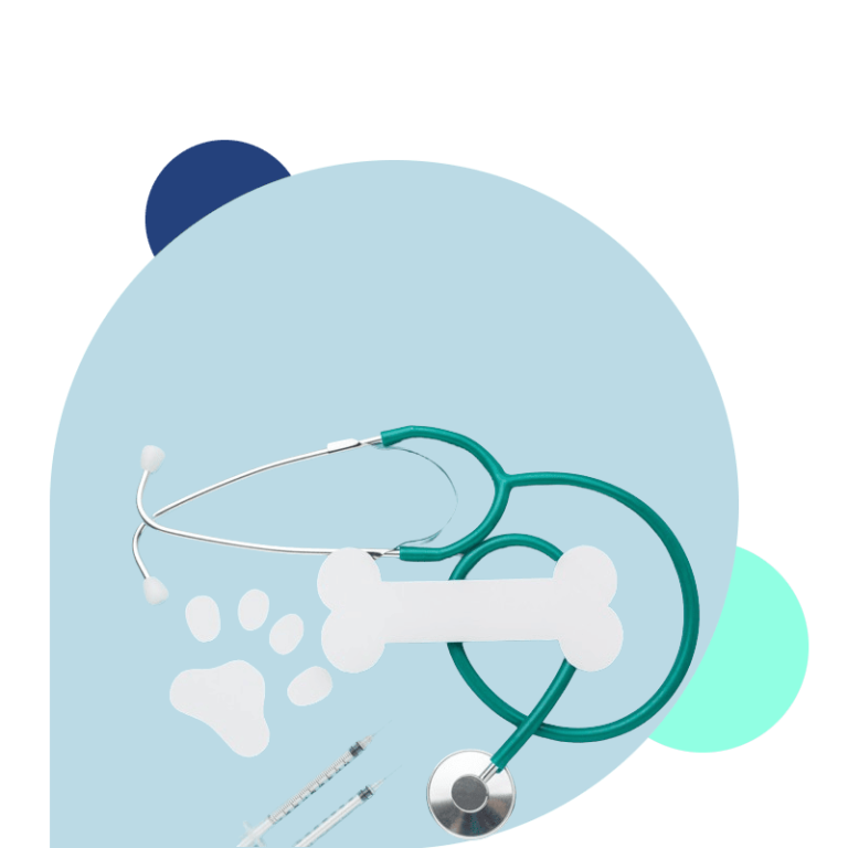 Forfait Prévention - harmony-pet.fr